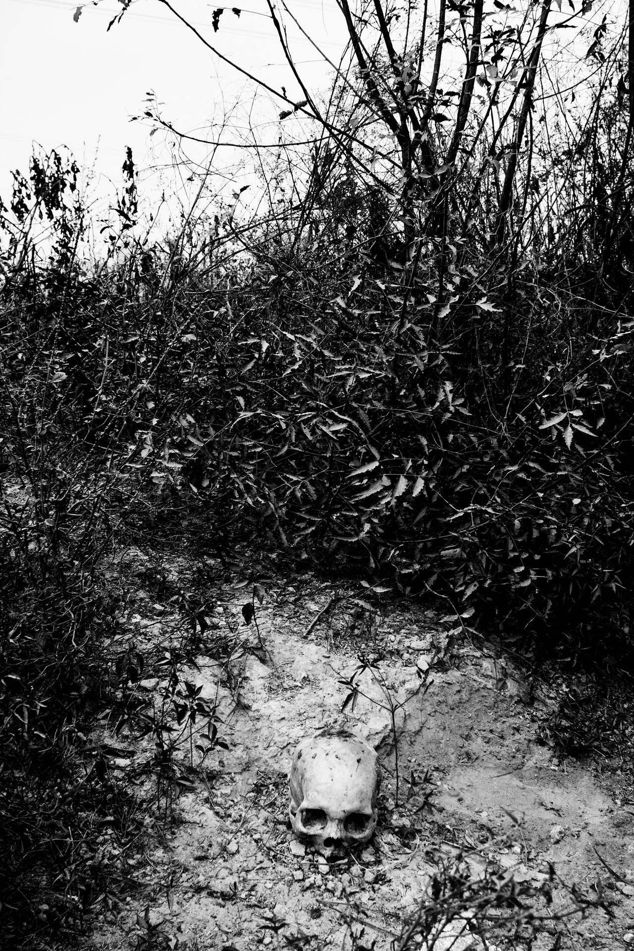 So Much Water so Close to Home