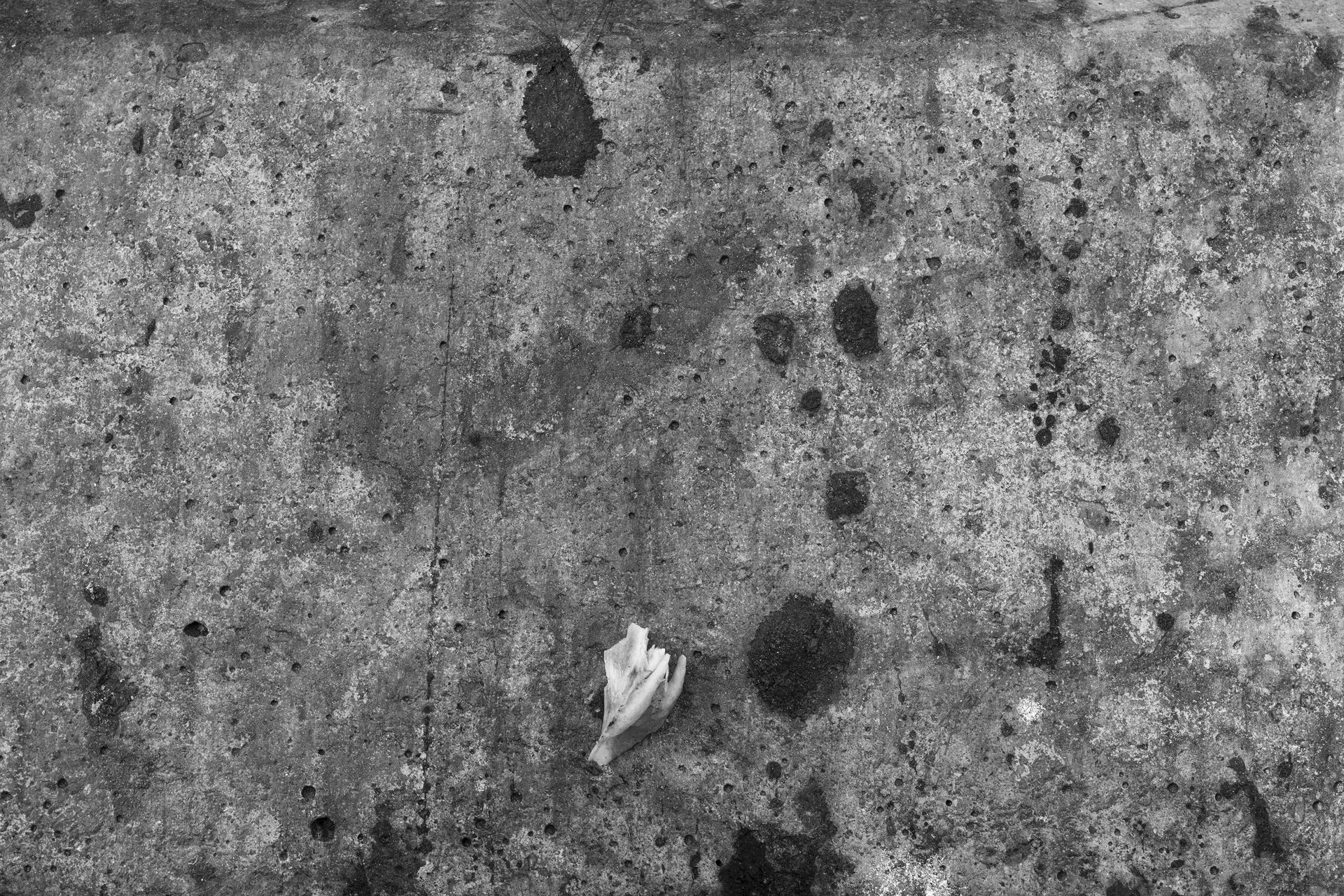 So Much Water so Close to Home