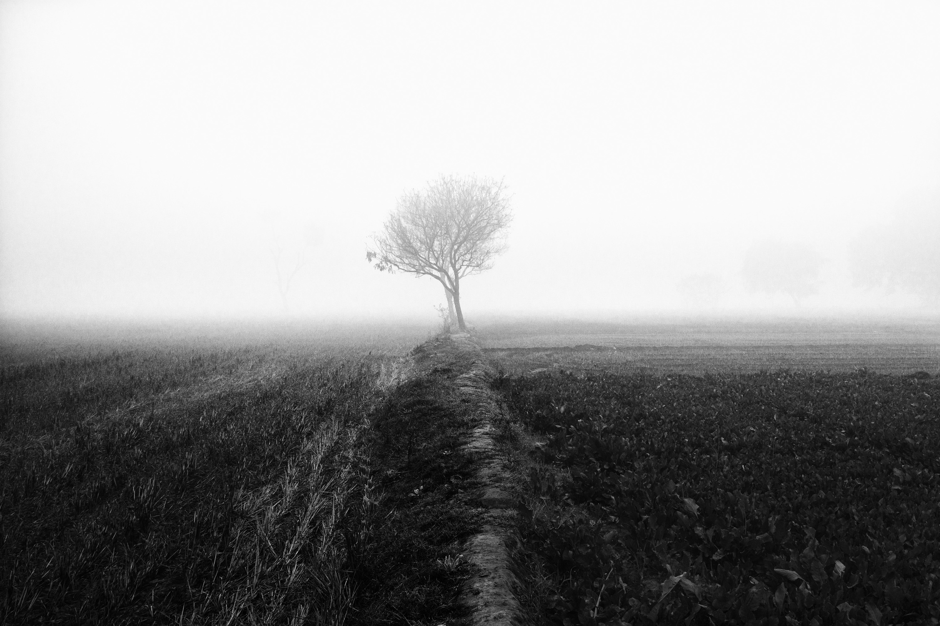 So Much Water so Close to Home